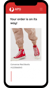 APG Ecommerce Solutions